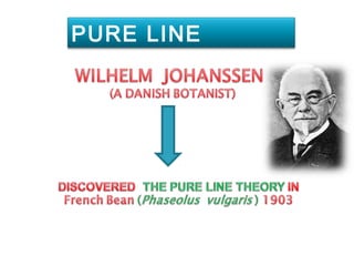 Vikas kumar singh pure line theory | PPT