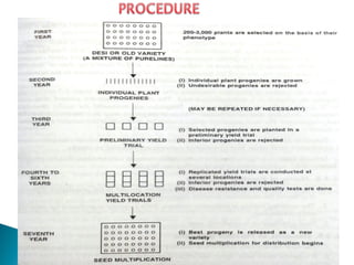 pure line theory | PPT