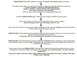 pure line theory | PPT