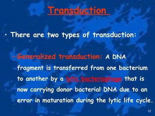 bacterial transduction | PPT