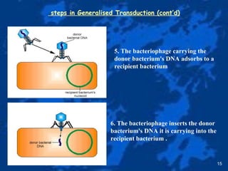 Bacterial Trunsduction