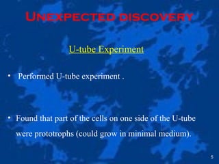 bacterial transduction | PPT