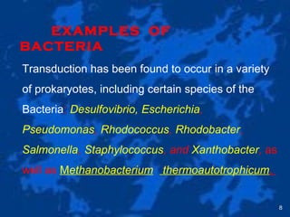 bacterial transduction | PPT
