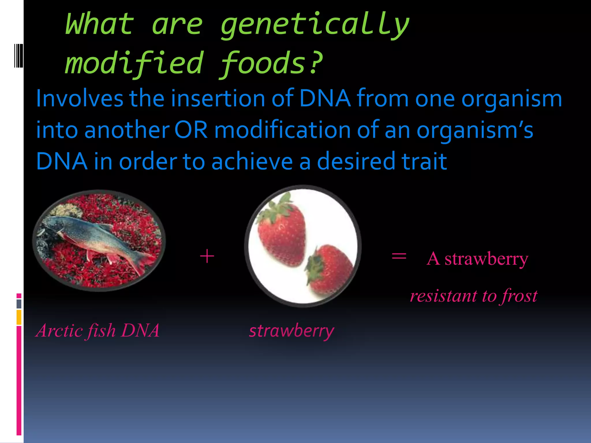 genetically modified food | PPTX
