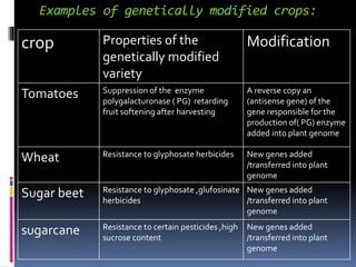 genetically modified food | PPTX