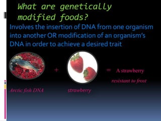 genetically modified food | PPTX
