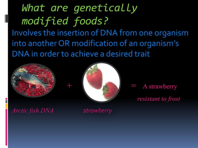 genetically modified food | PPTX | Agriculture | Industries