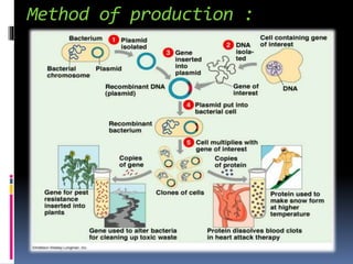 genetically modified food | PPTX