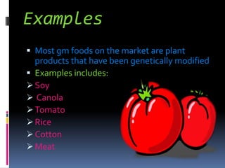 genetically modified food | PPTX