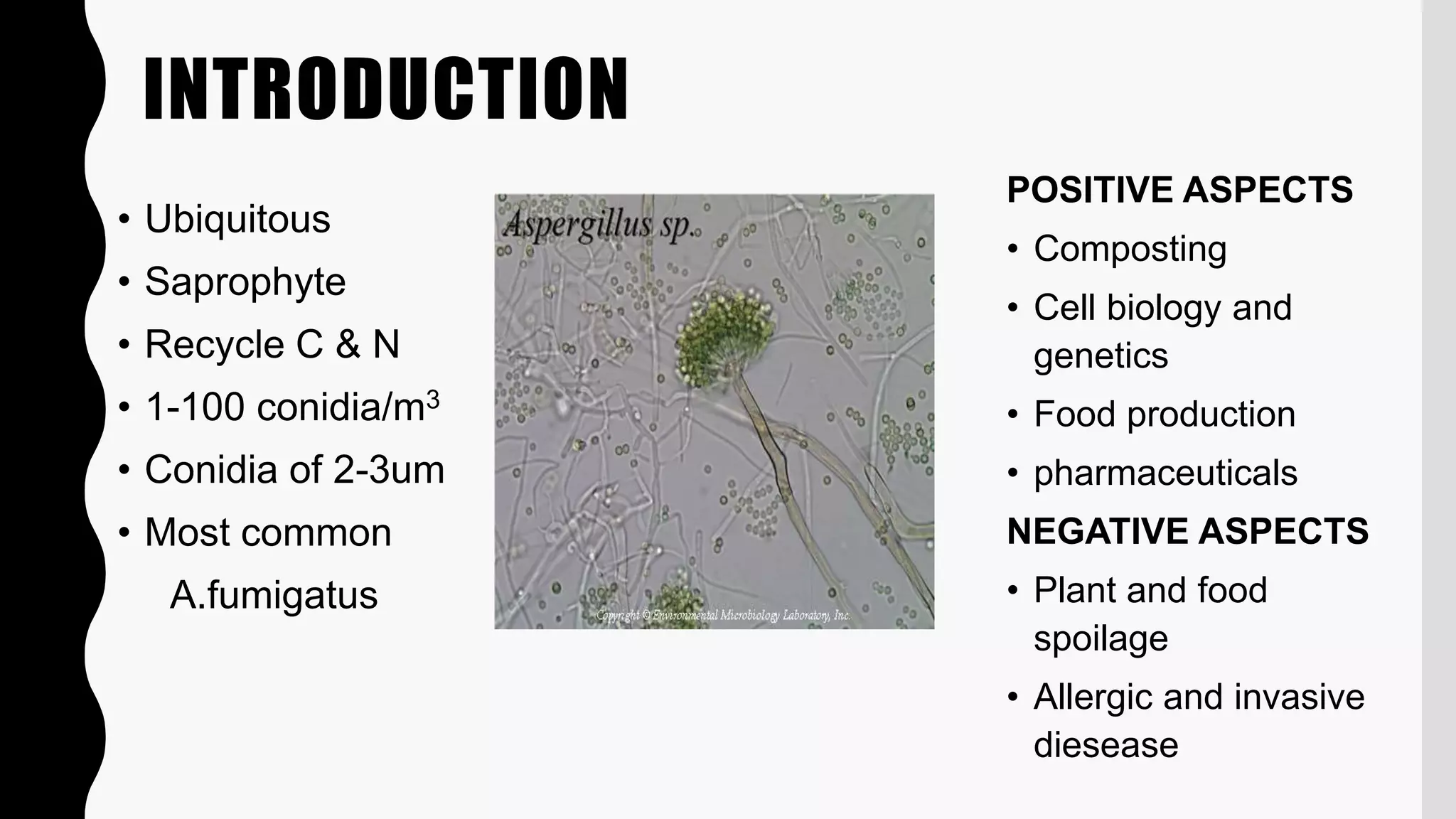 Dr.Vikas - Pulmonary manifestations of Aspergillosis | PPTX
