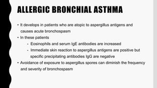 Dr.Vikas - Pulmonary manifestations of Aspergillosis | PPTX
