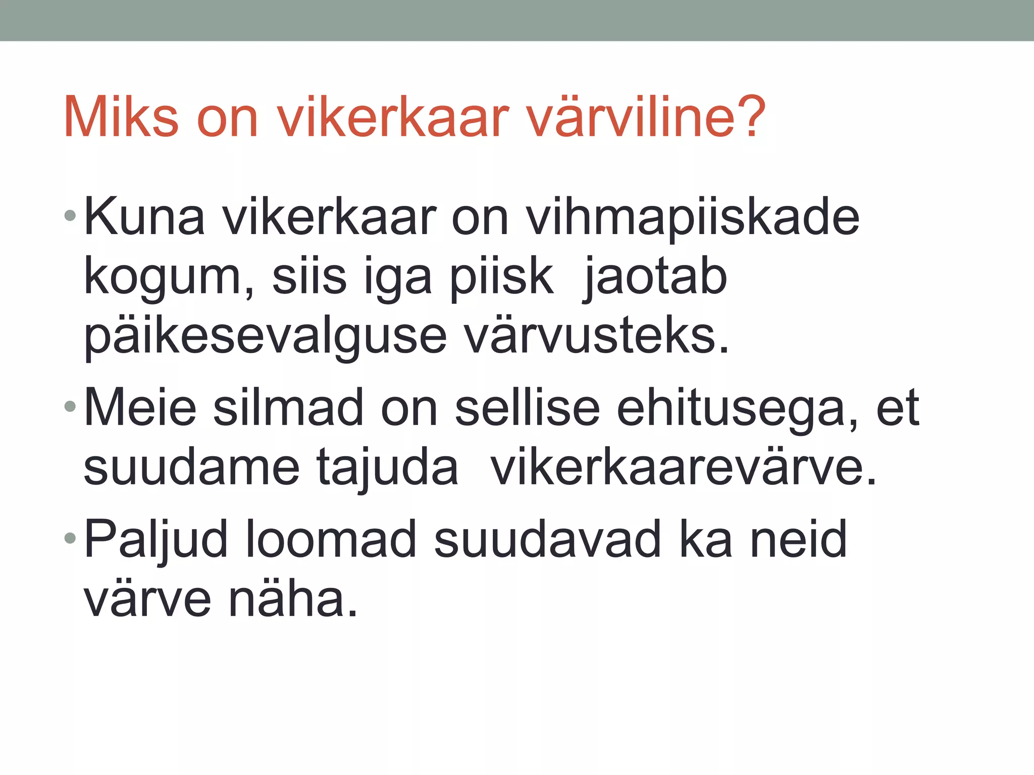 Vikerkaar | PPT