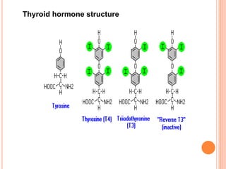 Thyroid Hormones | PPT