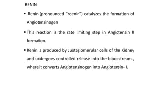 Renin-Angiotensin-Aldosterone System- Drugs Overview. | PPTX