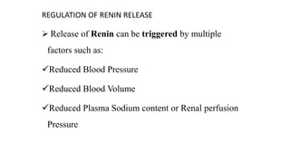 Renin-Angiotensin-Aldosterone System- Drugs Overview. | PPTX