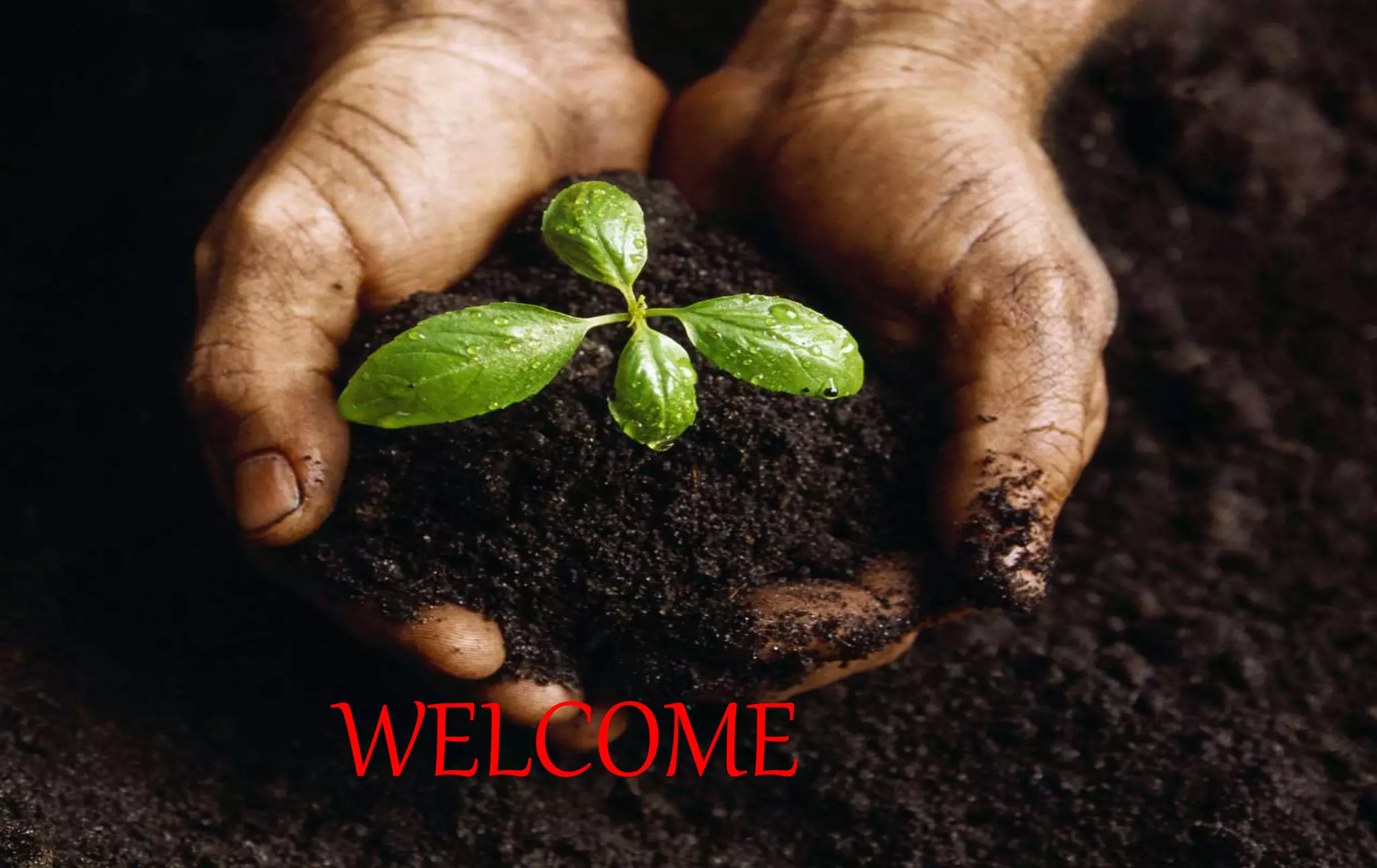 ADVANCED TECHNIQUES TO INCREASE NUTRIENT USE EFFICIENCY | PPT