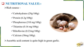 Production technology of Garlic | PPTX