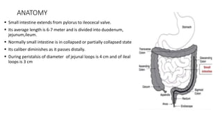 SMALL INTESTINE | PPTX