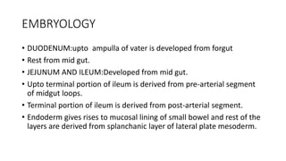 SMALL INTESTINE | PPTX