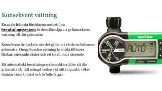 Vikten av ett bra bevattningssystem för en blomstrande gräsmatta | PPT