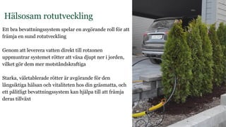 Vikten av ett bra bevattningssystem för en blomstrande gräsmatta | PPT