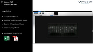 (June 22nd, 2021) Introducing Vilber’s Product Line of Gel Imaging ...