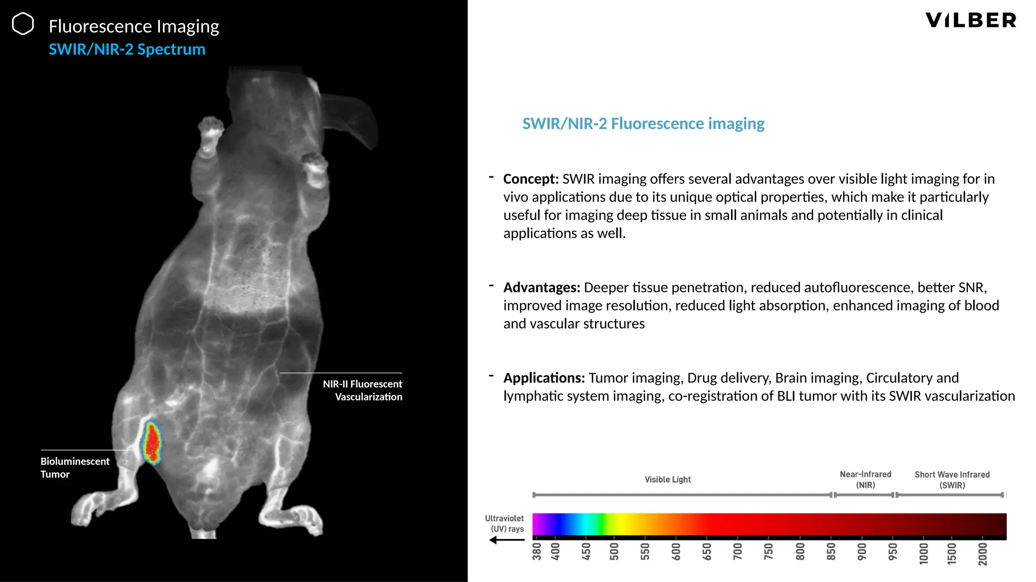 (November 14, 2024) NIR-II Fluorescence imaging: Why, When and How | PPTX
