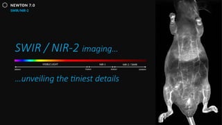 (November 14, 2024) NIR-II Fluorescence imaging: Why, When and How | PPTX
