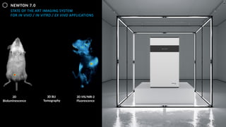 (November 14, 2024) NIR-II Fluorescence imaging: Why, When and How | PPTX