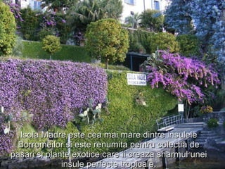 Vile,Palate Si Gradini Celebre | PPS