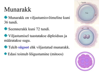 Viljastumine | PPT