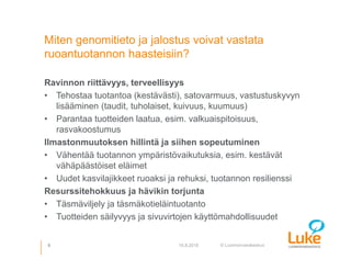Geenit ruoantuotannon ytimessä, Johanna Vilkki | PPT
