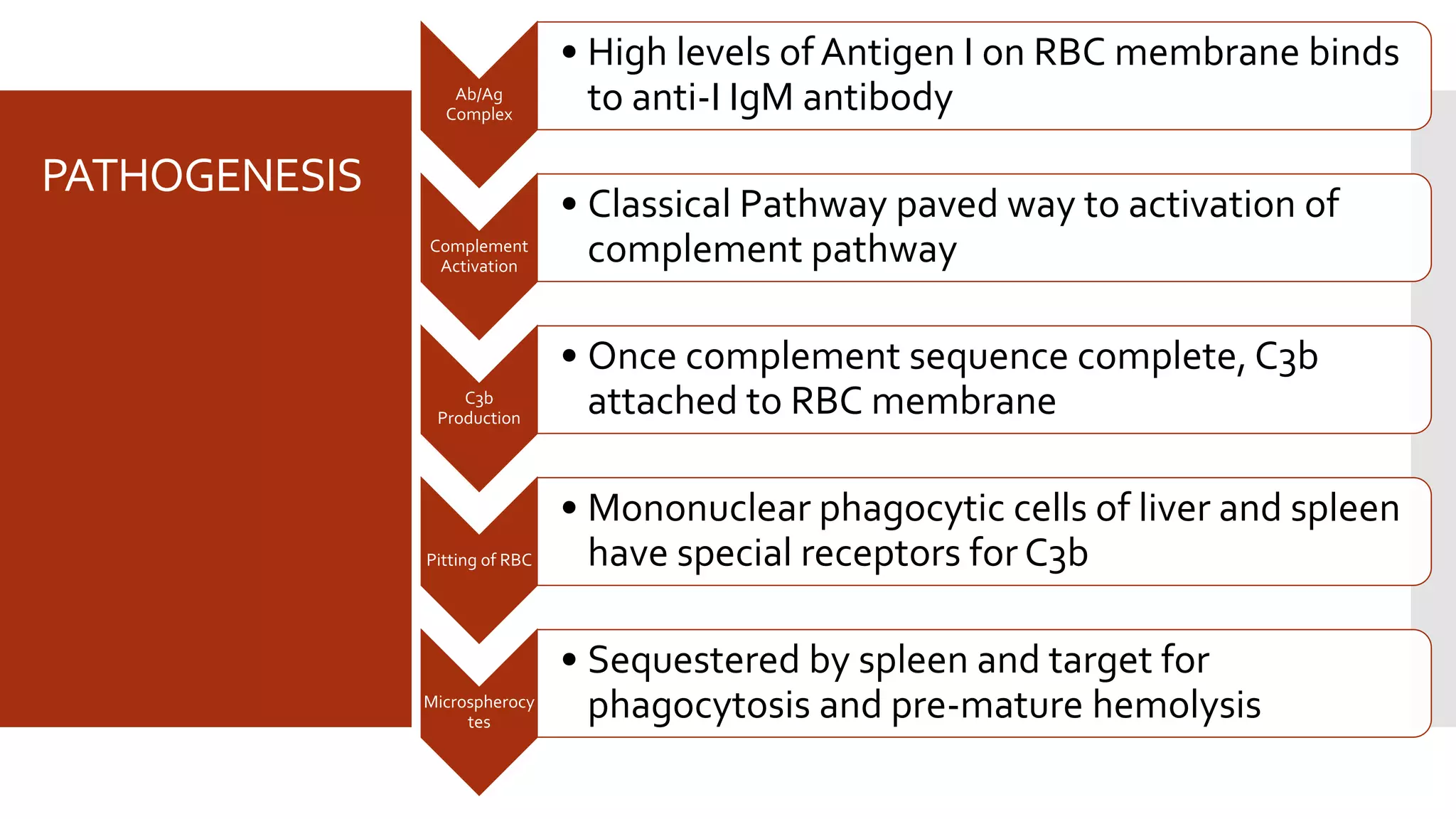 Villaester, hanisha cold agglutinin hemolytic anemia | PPTX