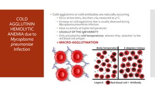 Villaester, hanisha cold agglutinin hemolytic anemia | PPTX