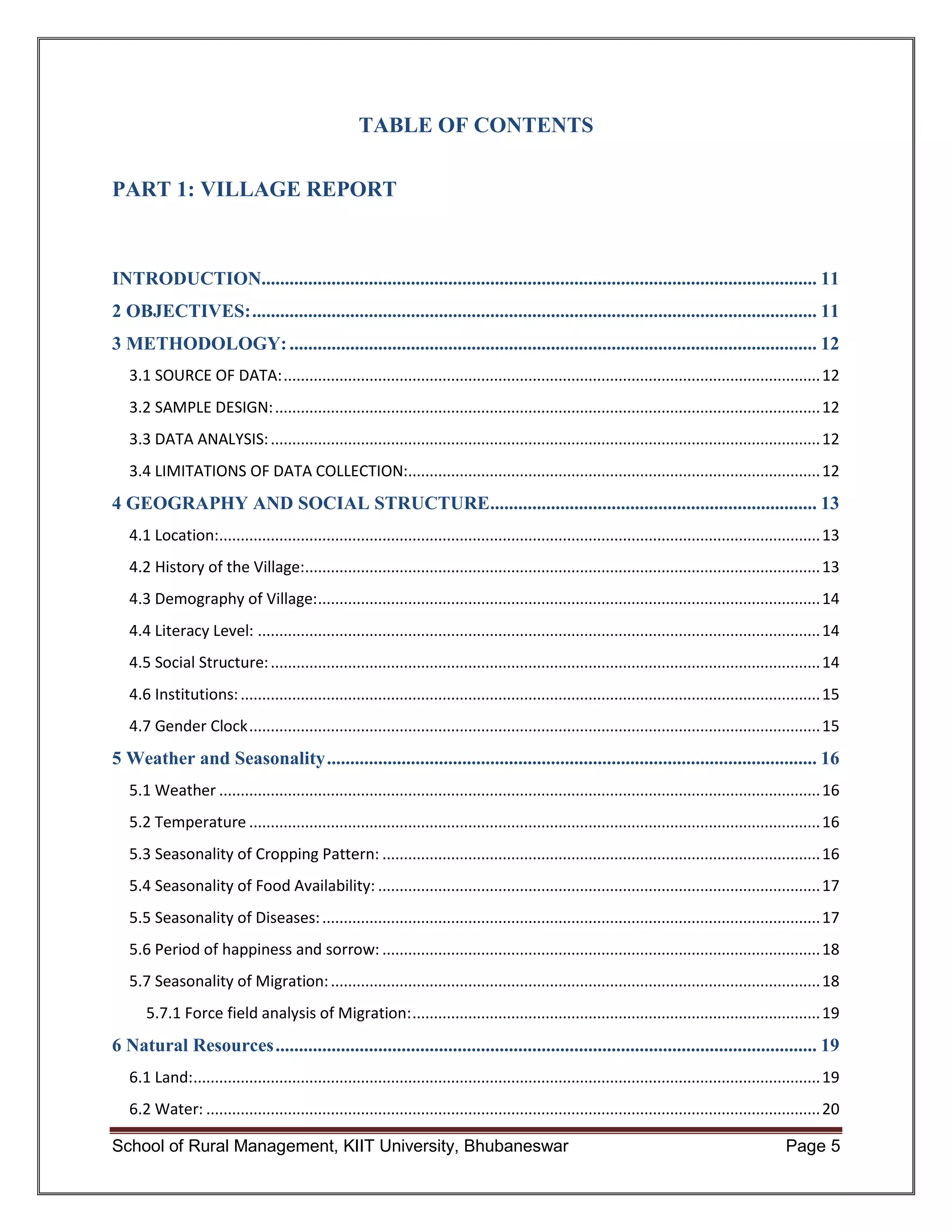 Village report | PDF