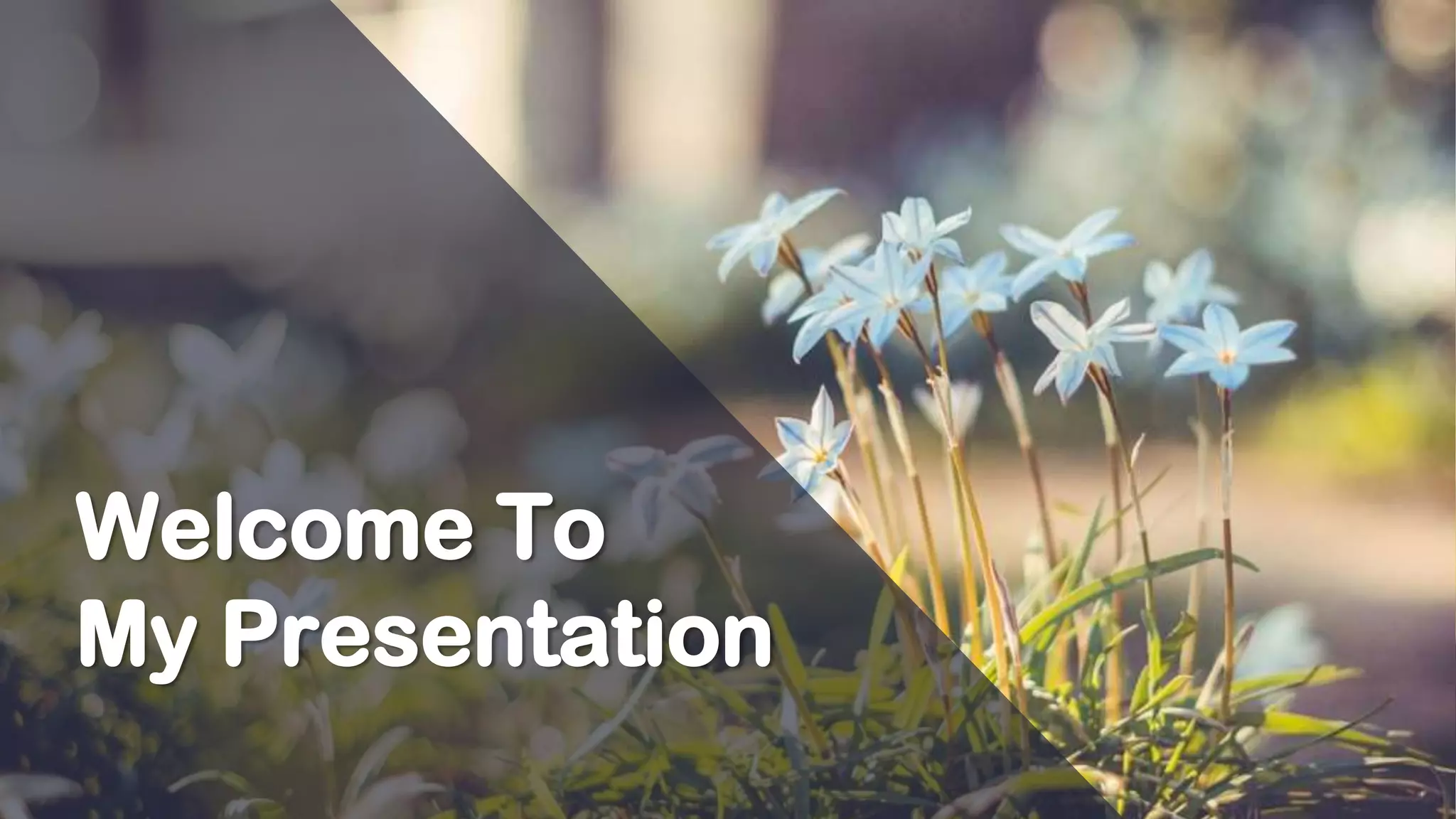 Village scenery graphics C programming | PPTX