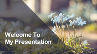 Village scenery graphics C programming | PPTX