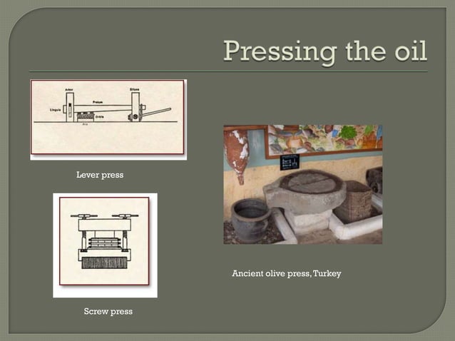 Roman Villas and latifundia | PPTX