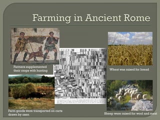 Roman Villas and latifundia | PPTX