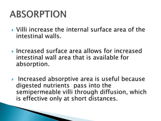Villi and Absorption | PPTX