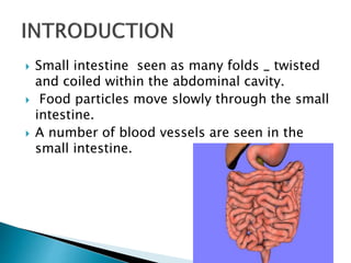 POWER POINT PRESENTATION | PPTX