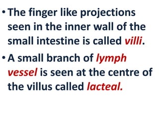 Villus,power point presentation | PPT