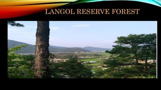 Ppt on the topic Forests of Manipur | PPTX