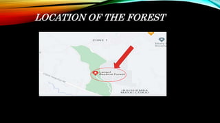 Ppt on the topic Forests of Manipur | PPTX