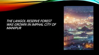 Ppt on the topic Forests of Manipur | PPTX