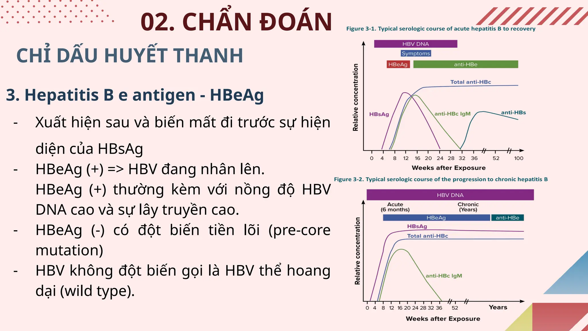 Slide học bài Viêm-gan-B Y Khoa .pptx