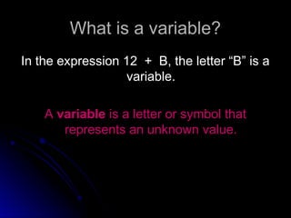linear algebraic expressions and examples | PPT