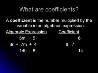 linear algebraic expressions and examples | PPT