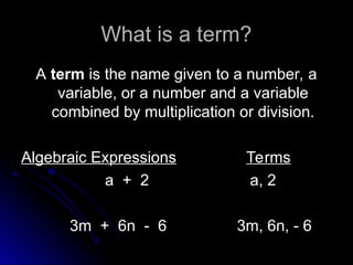 linear algebraic expressions and examples | PPT