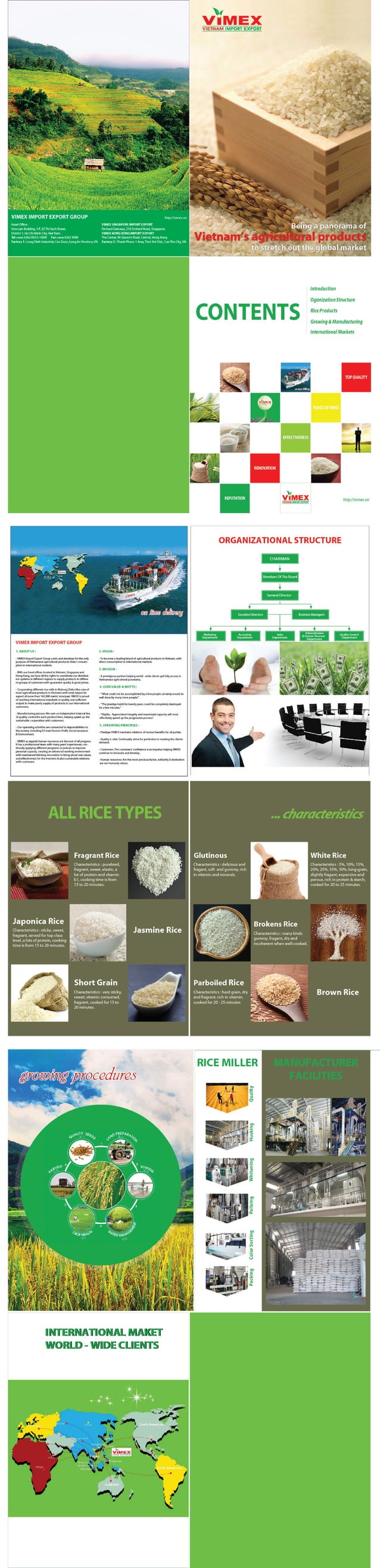 VIMEX IMPORT EXPORT - Profile | PDF